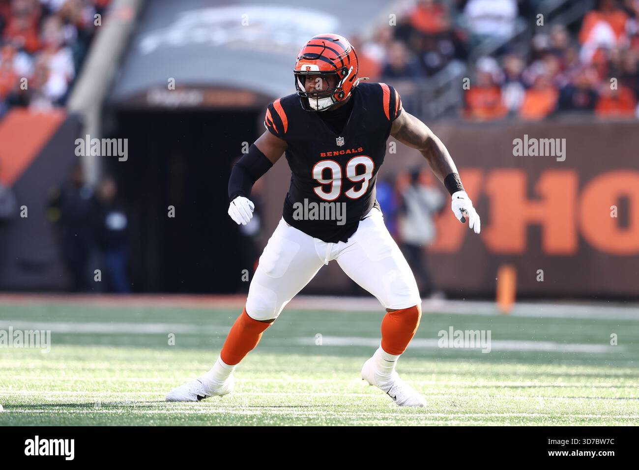 Cincinnati Bengals defensive end Myles Murphy (99) rushes the passer ...
