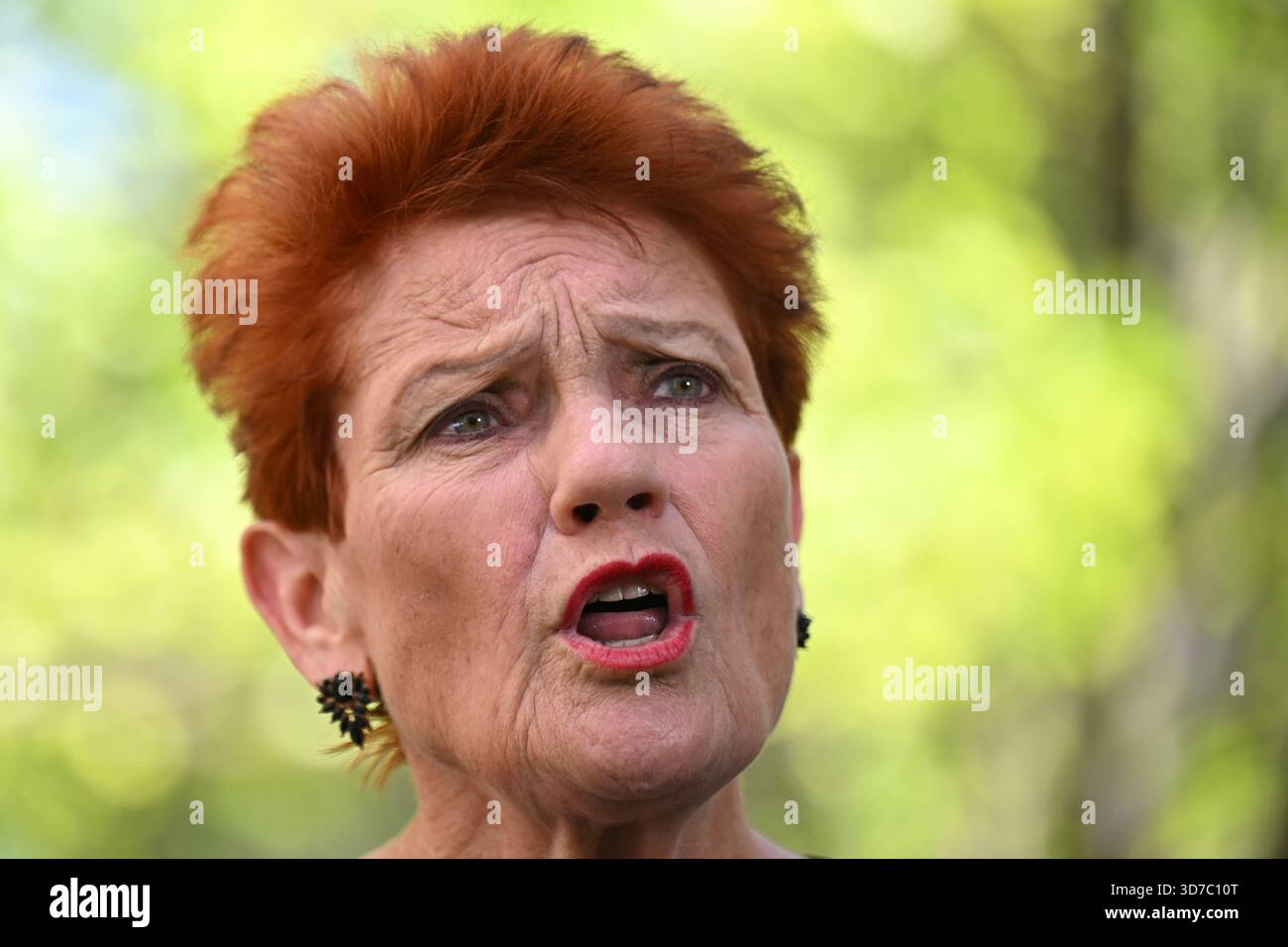 One Nation Senator Pauline Hanson speaks to the media during a press ...