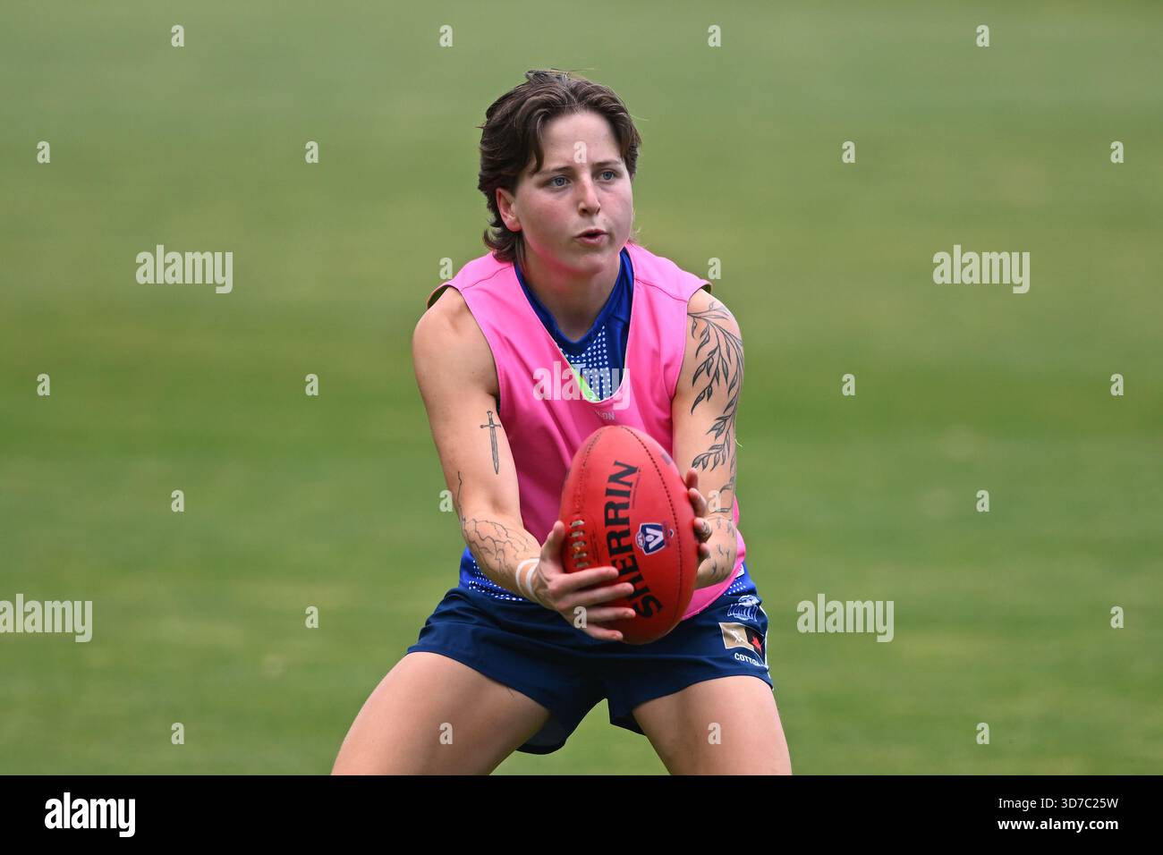 Tess Craven of the Kangaroos marks the footy during a North Melbourne ...