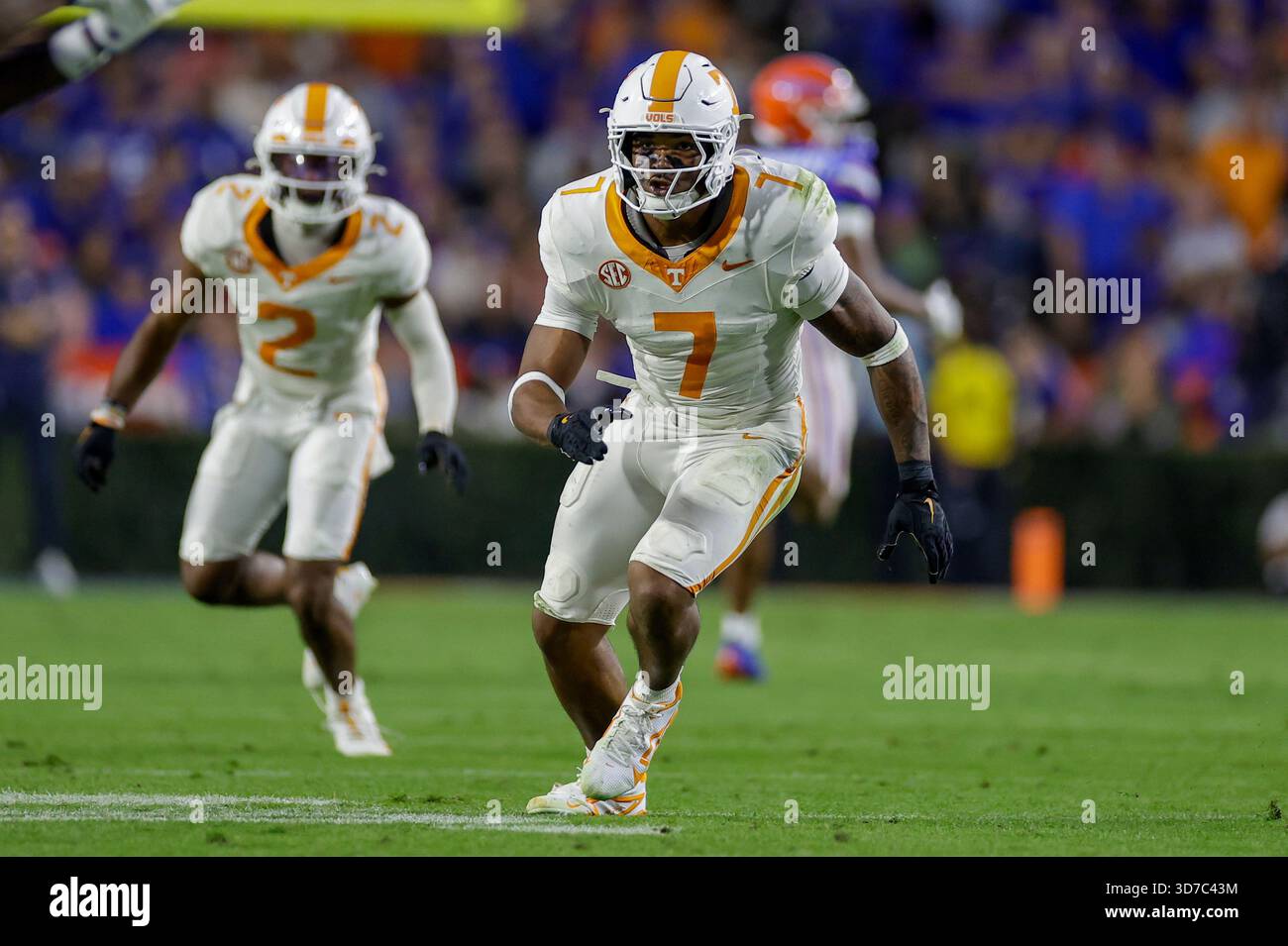 GAINESVILLE, FL - NOVEMBER 22: Tennessee Volunteers linebacker Arion ...