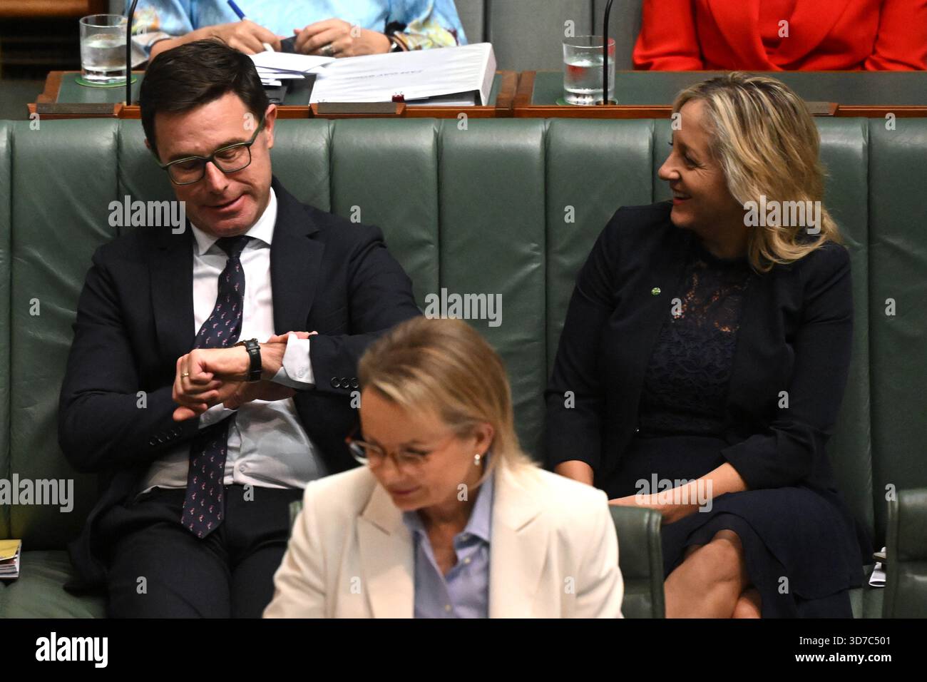 Nationals leader David Littleproud reacts during Question Time in the ...