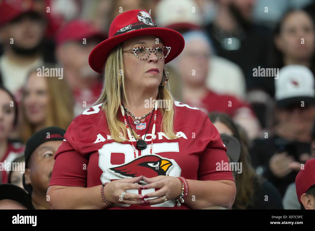 An Arizona Cardinals fan watches the action on the field during the ...
