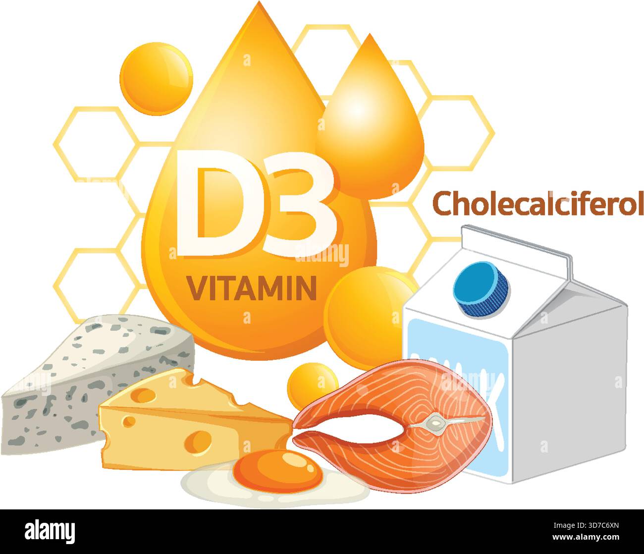 Vector illustration of vitamin D3 food sources with bright colors, flat ...