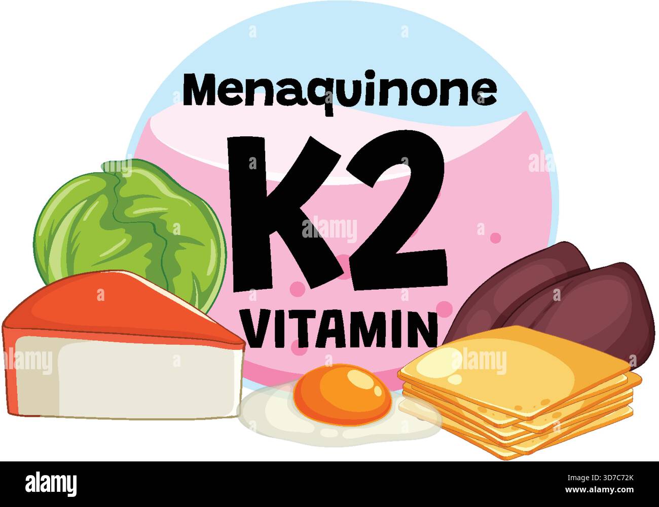 Colorful vector of vitamin K2 foods including cheese, egg, liver, leafy ...
