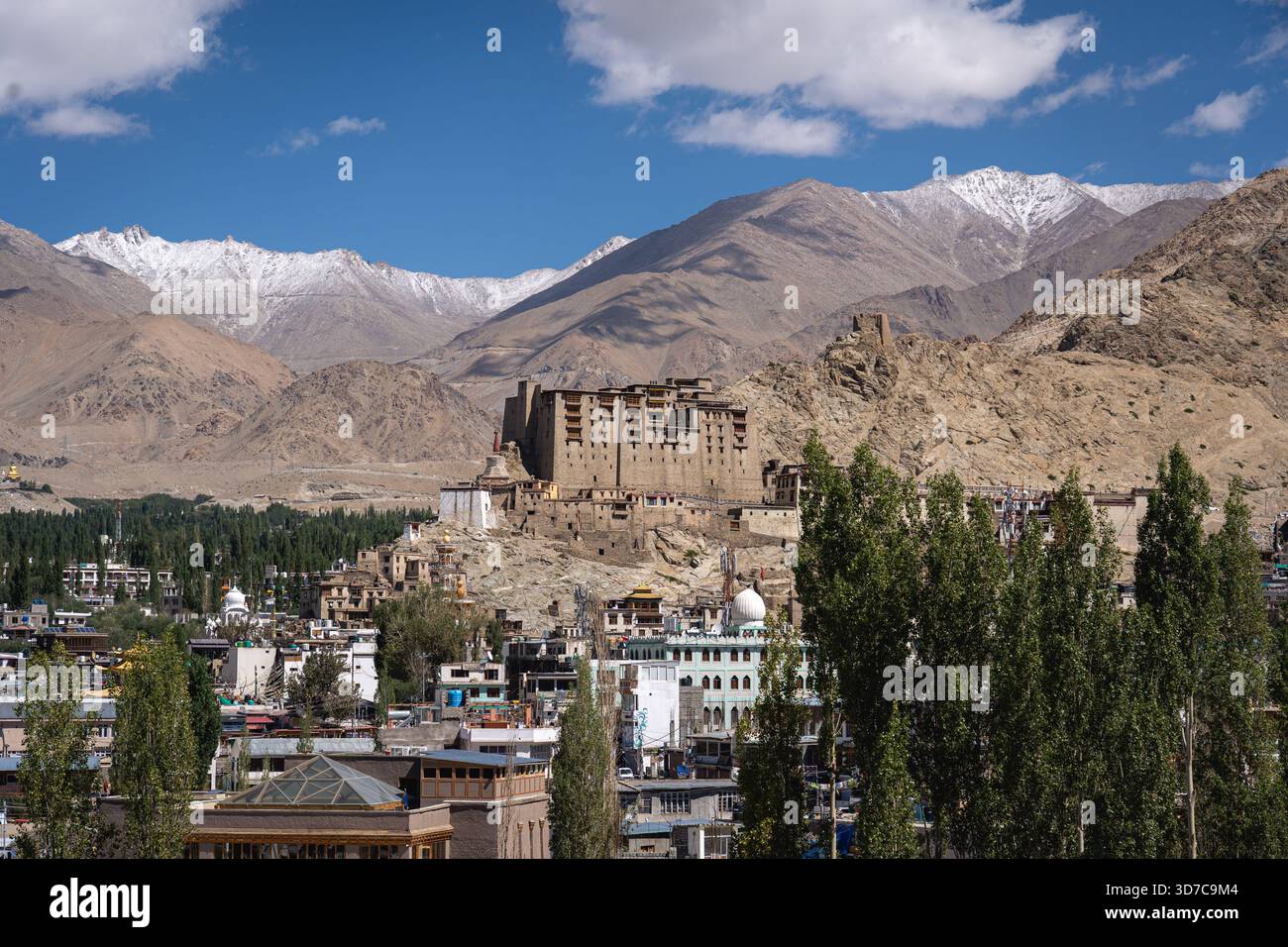 Leh Palace in Ladakh, India Stock Photo - Alamy