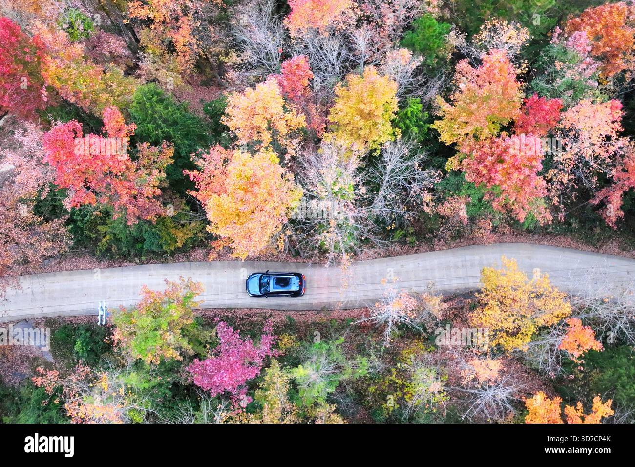 Aerial photo shows the winter scenery of a forest in Youyang County ...