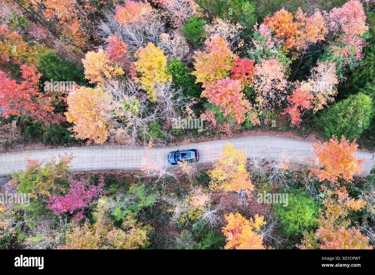 Aerial photo shows the winter scenery of a forest in Youyang County ...