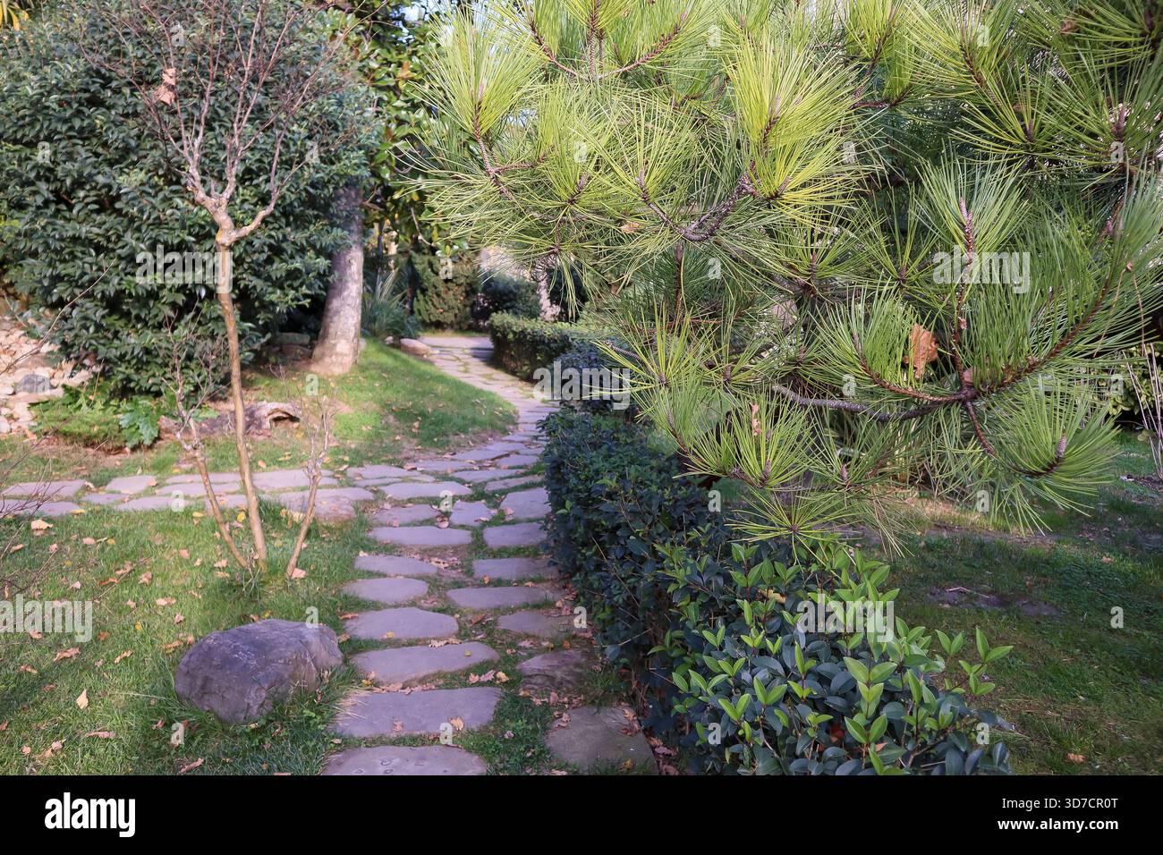 Tranquil pathway amid autumn hi-res stock photography and images - Alamy