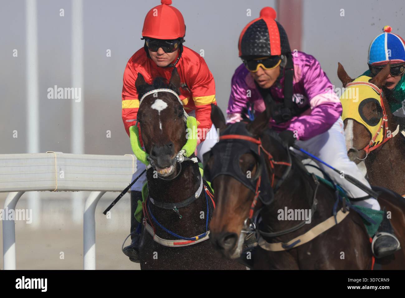 A horse race event is held in Bohu County, Bayingolin Mongol Autonomous ...