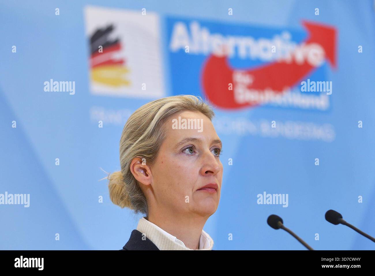 Berlin, Deutschland, 24.11.2025: Deutscher Bundestag: AfD ...