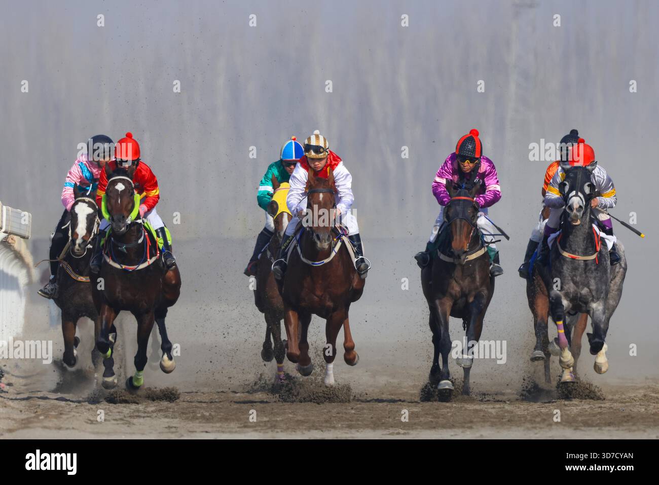 A horse race event is held in Bohu County, Bayingolin Mongol Autonomous ...