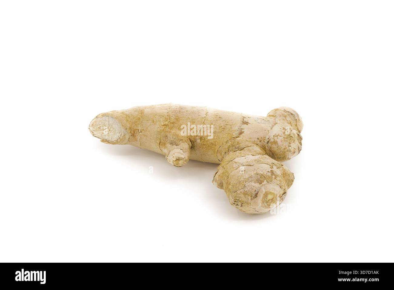 Complex natural structure Cut Out Stock Images & Pictures - Alamy