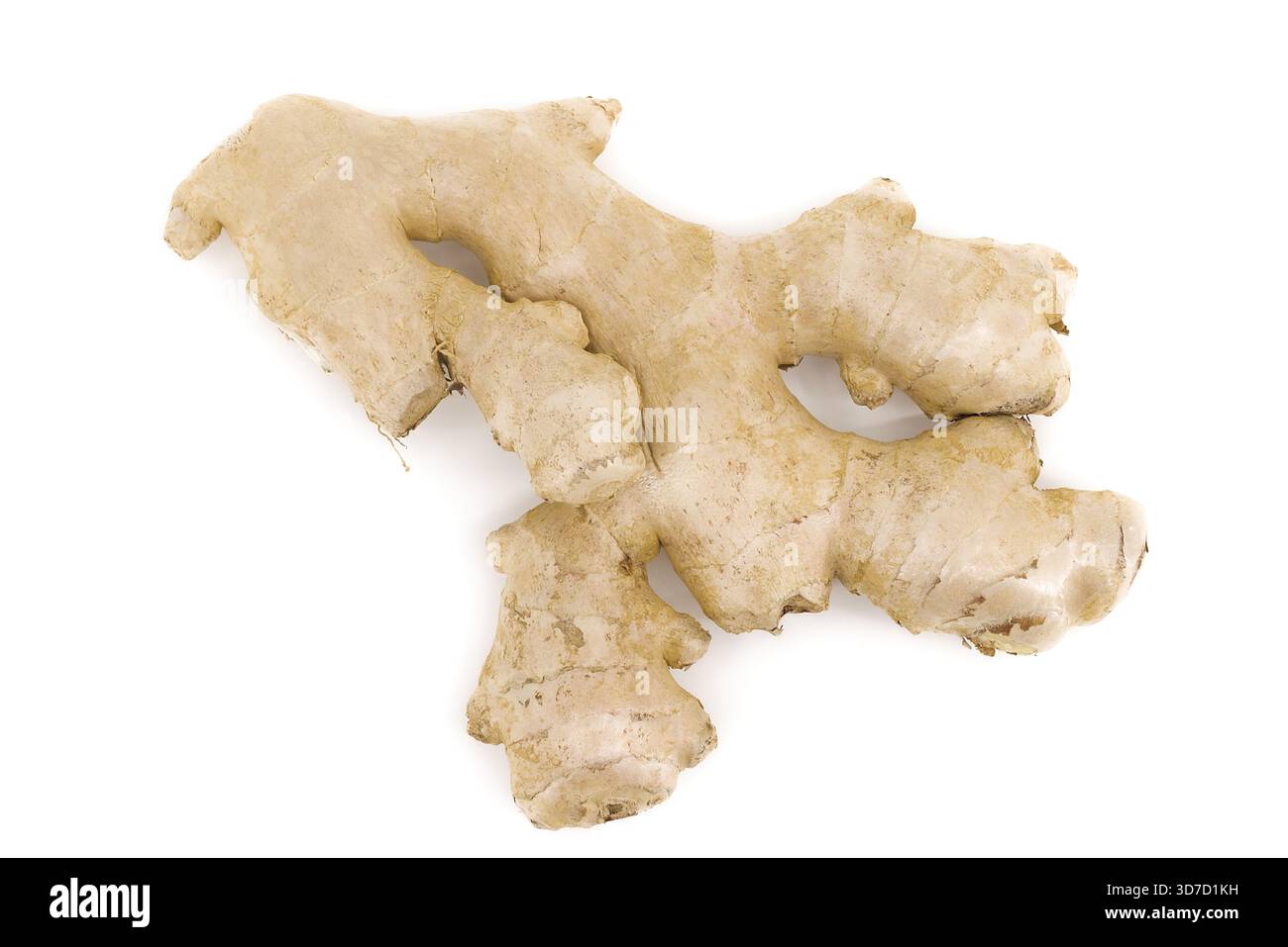 Organic ginger root shown under clean white lighting, enhancing the ...