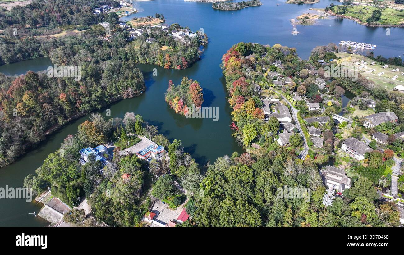 Aerial photo shows the red maple forest in Qianxinan Prefecture ...