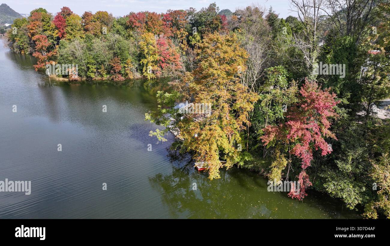 Aerial photo shows the red maple forest in Qianxinan Prefecture ...