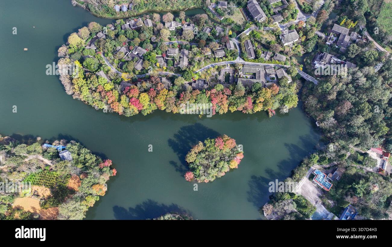 Aerial photo shows the red maple forest in Qianxinan Prefecture ...