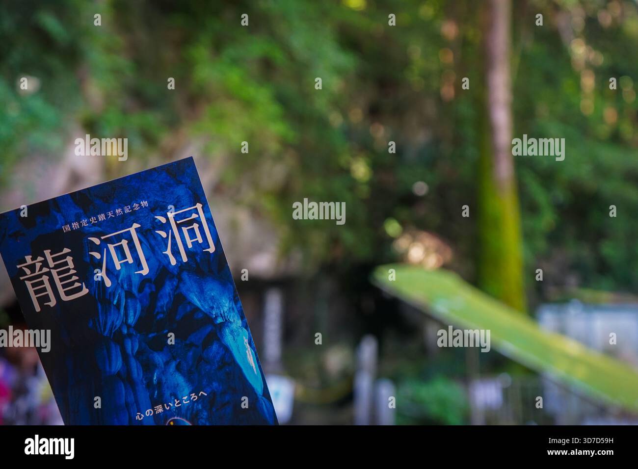 Hand holds up a Japanese brochure for Ryugado Cave (龍河洞) with the cave ...