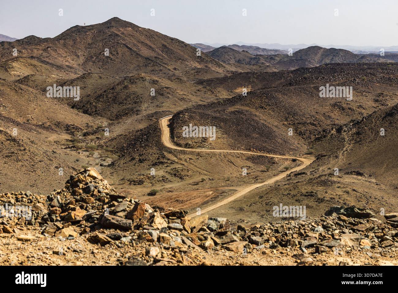 ambiance during the 2025 Rally Saudi Arabia, 14th round of the 2025 WRC ...