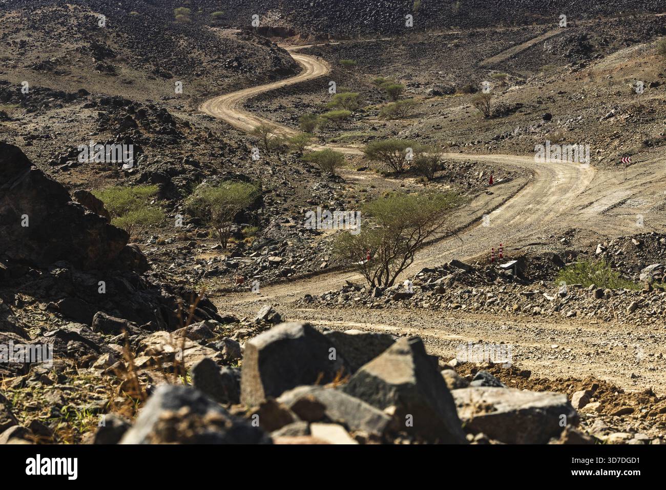 ambiance during the 2025 Rally Saudi Arabia, 14th round of the 2025 WRC ...
