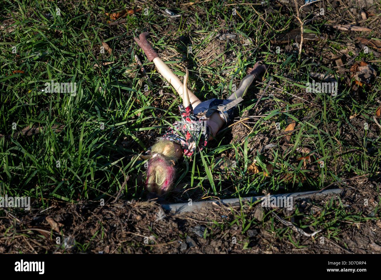 A worn out doll lies face down in tall green grass and dirt, evoking ...