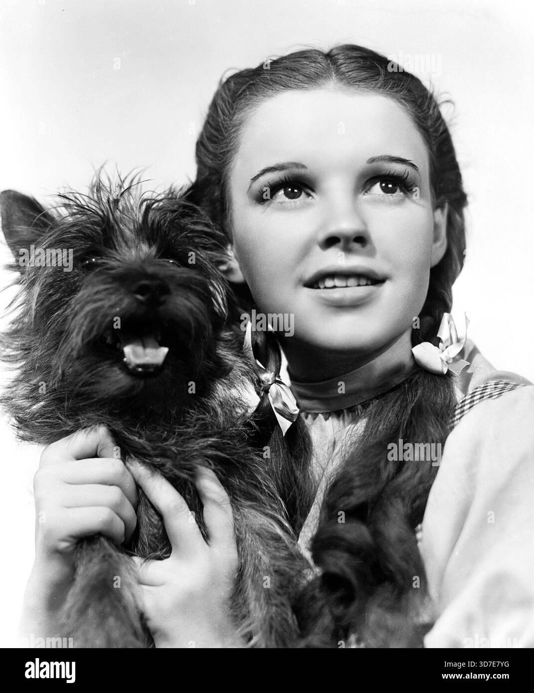 The Wizard of Oz (MGM, 1939) Judy Garland as Dorothy and Terry the dog ...