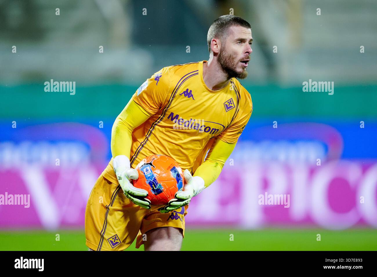 David de Gea of ACF Fiorentina looks on during the serie Serie A ...