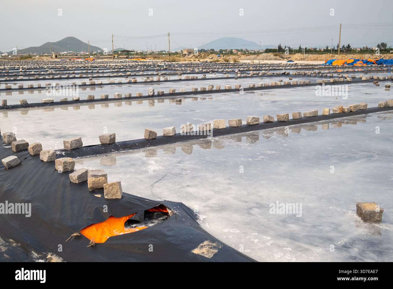 Large scale salt production using solar evaporation of seawater ...