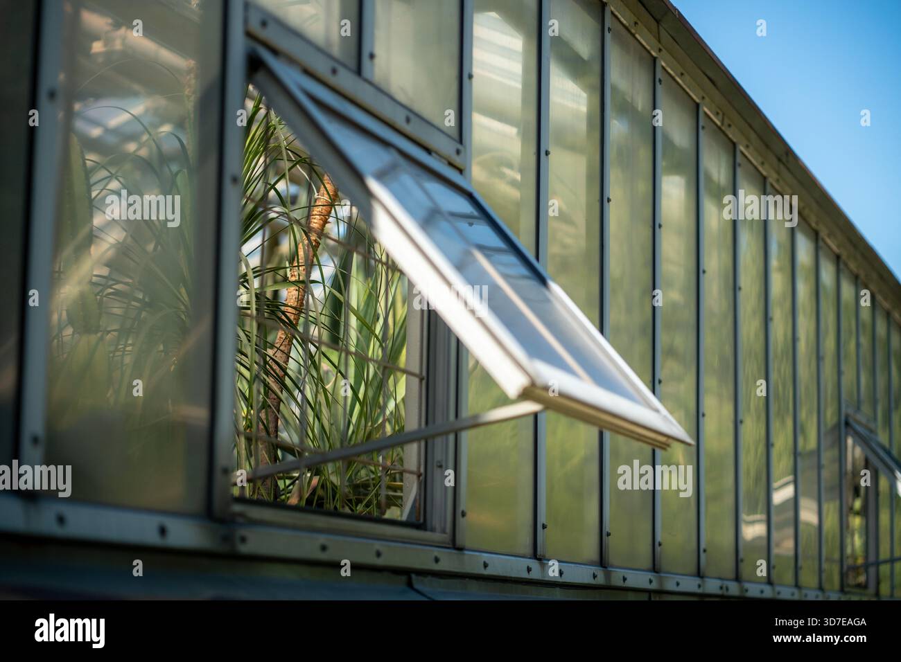 Horticulture arable crops different hi-res stock photography and images ...