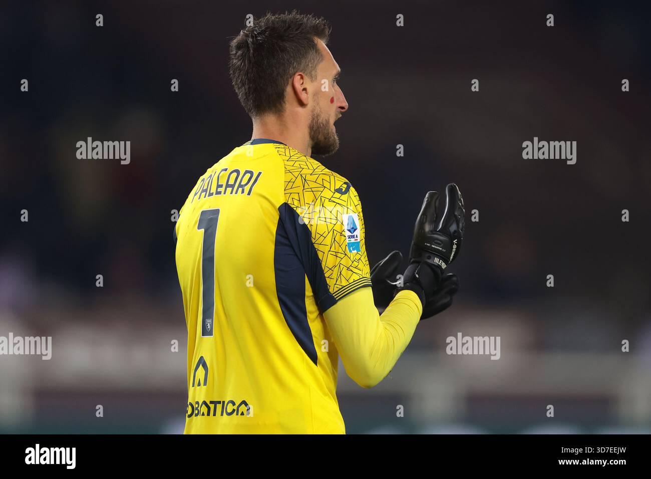 Turin, Italy, 24th November 2025. Alberto Paleari of Torino FC during ...