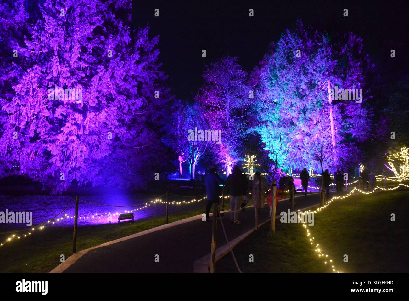 Christmas at Bute Park 2025 - lights and illuminations in the centre of ...