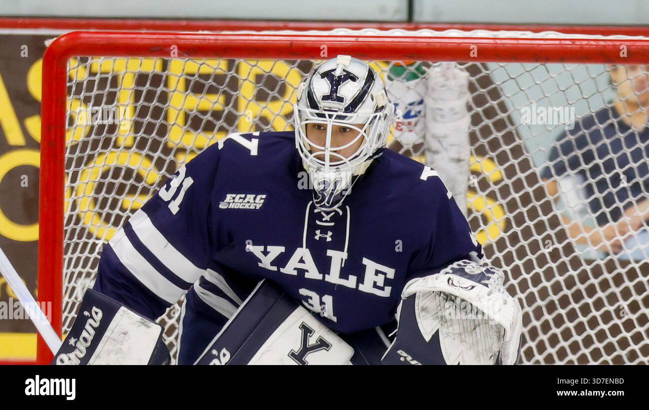 Yale goalie Noah Pak (31) in net during the first period of an NCAA ...
