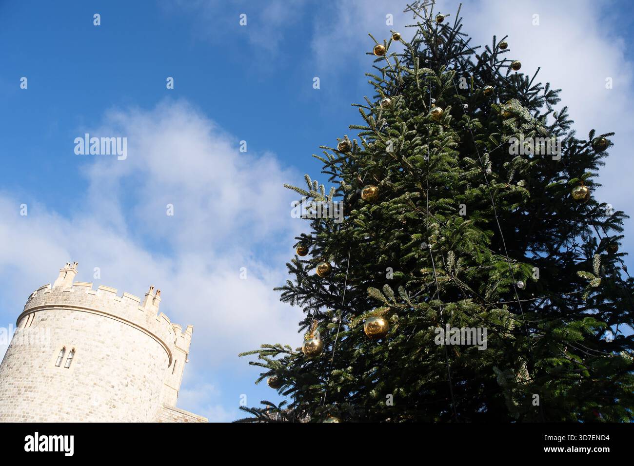 Windsor, Berkshire, UK. 25th November, 2025. The Christmas tree outside ...