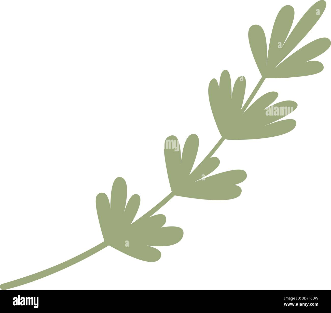 A green leafy plant with four leaves Stock Vector Image & Art - Alamy