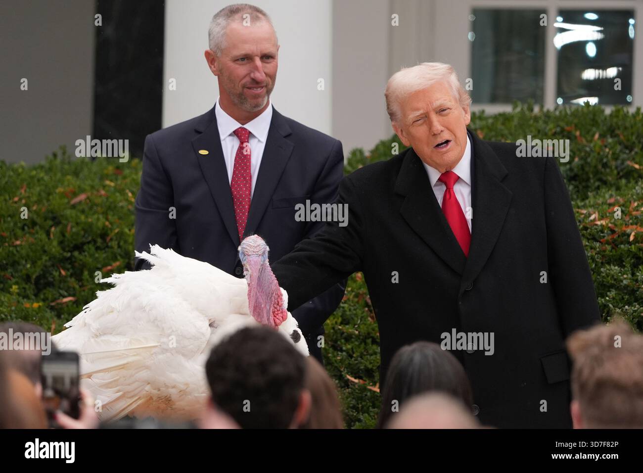 President Donald Trump stands next to the national Thanksgiving turkey ...