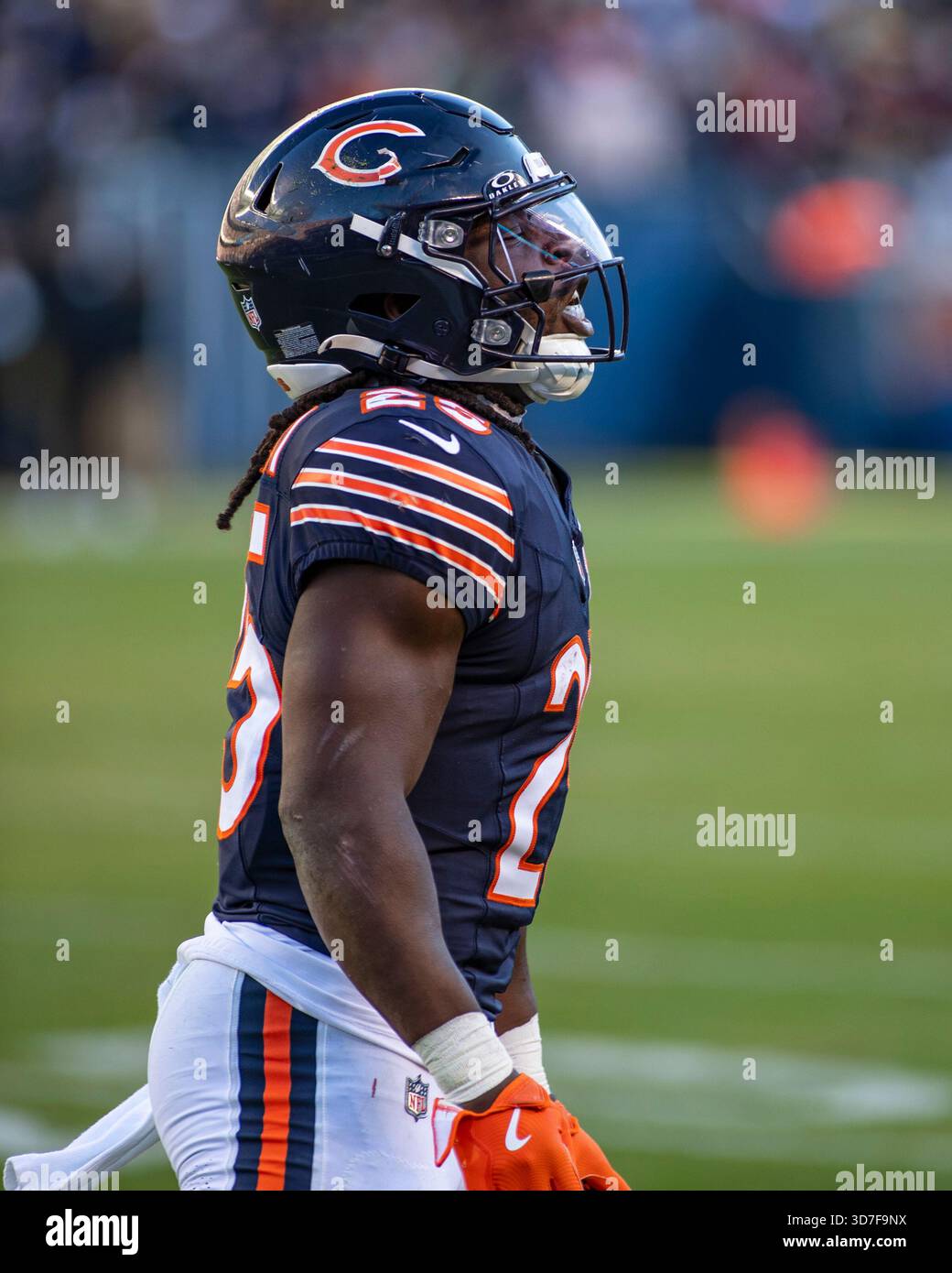 November 23, 2025: Chicago Bears Kyle Monangai (25) celebrates his ...