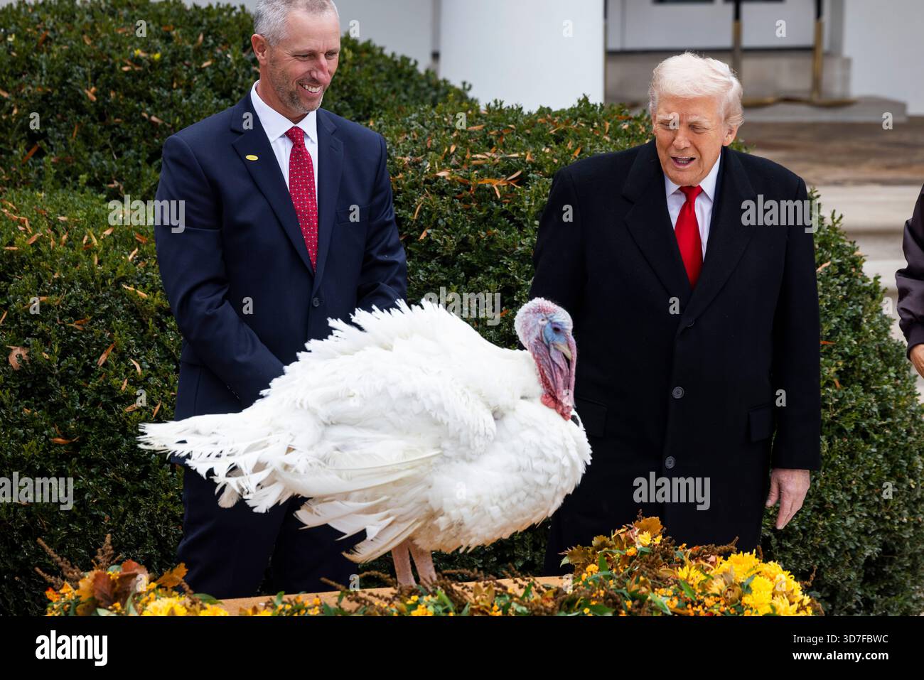 US President Donald Trump (R) pardons a turkey named Gobble in the Rose ...