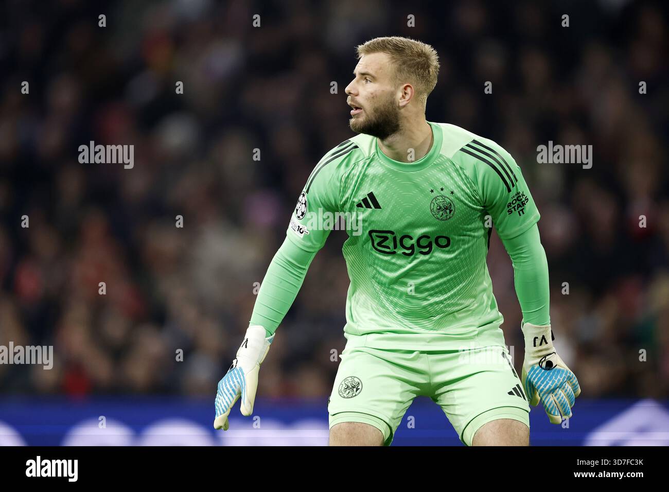 AMSTERDAM - Ajax goalkeeper Vitezslav Jaros during the Champions League ...