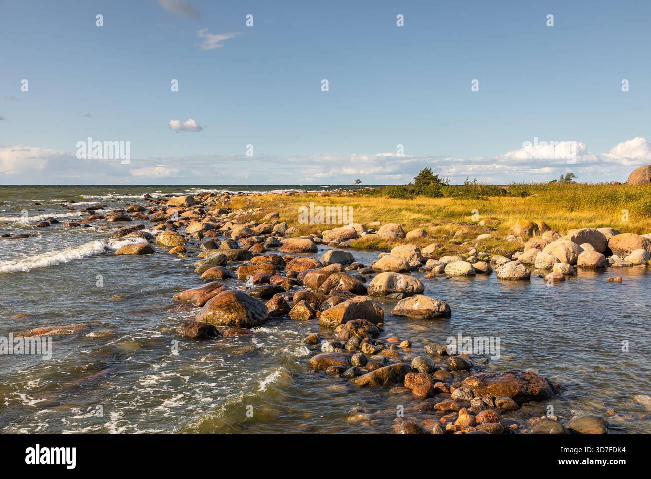 Baltic Sea shoreline with large coastal boulders and waves rolling onto ...