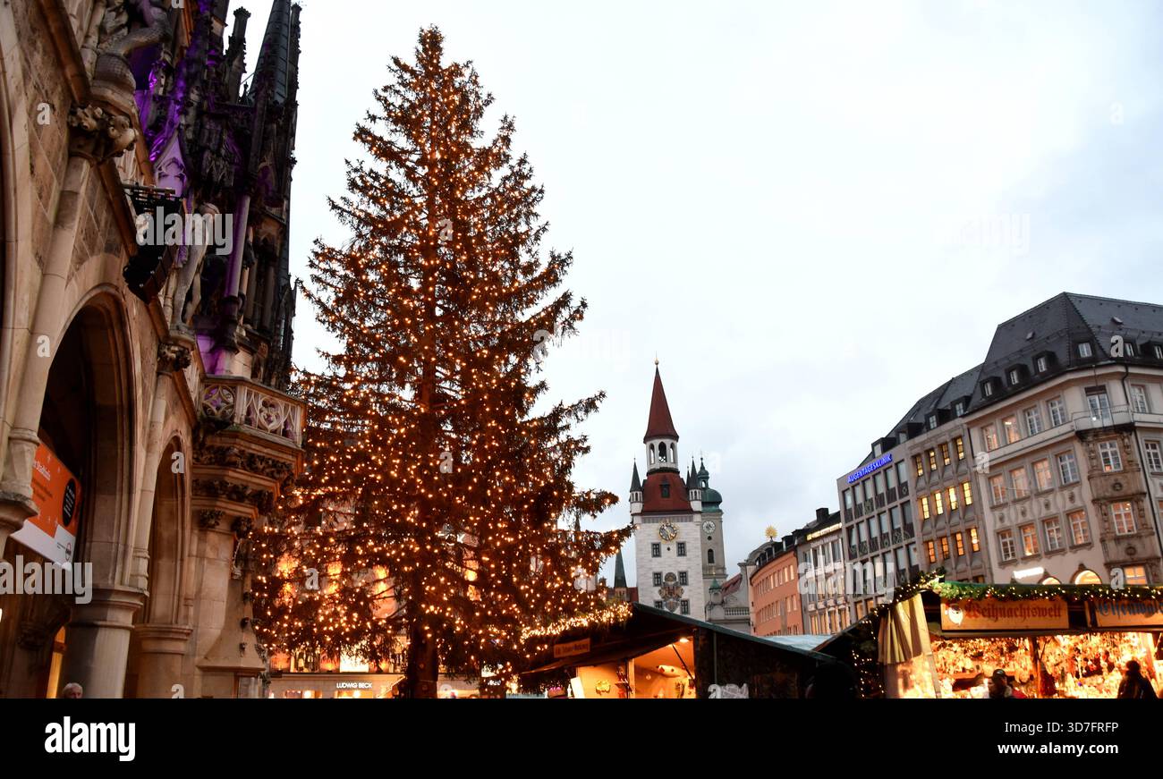 Muenchen 25.11.2025 Marienplatz -Cristkindlmarkt Christbaum ...