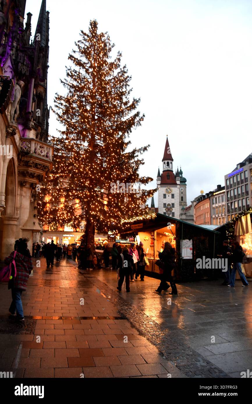 Muenchen 25.11.2025 Marienplatz -Cristkindlmarkt Christbaum ...