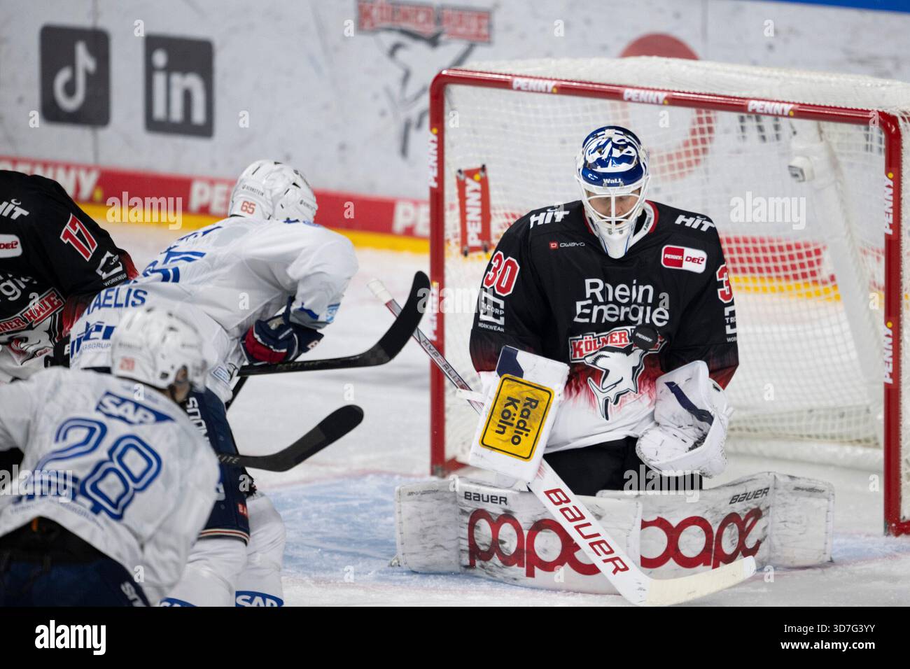 Janne Juvonen (Cologne Sharks, goalkeeper, #30); PENNY DEL 1; Cologne ...