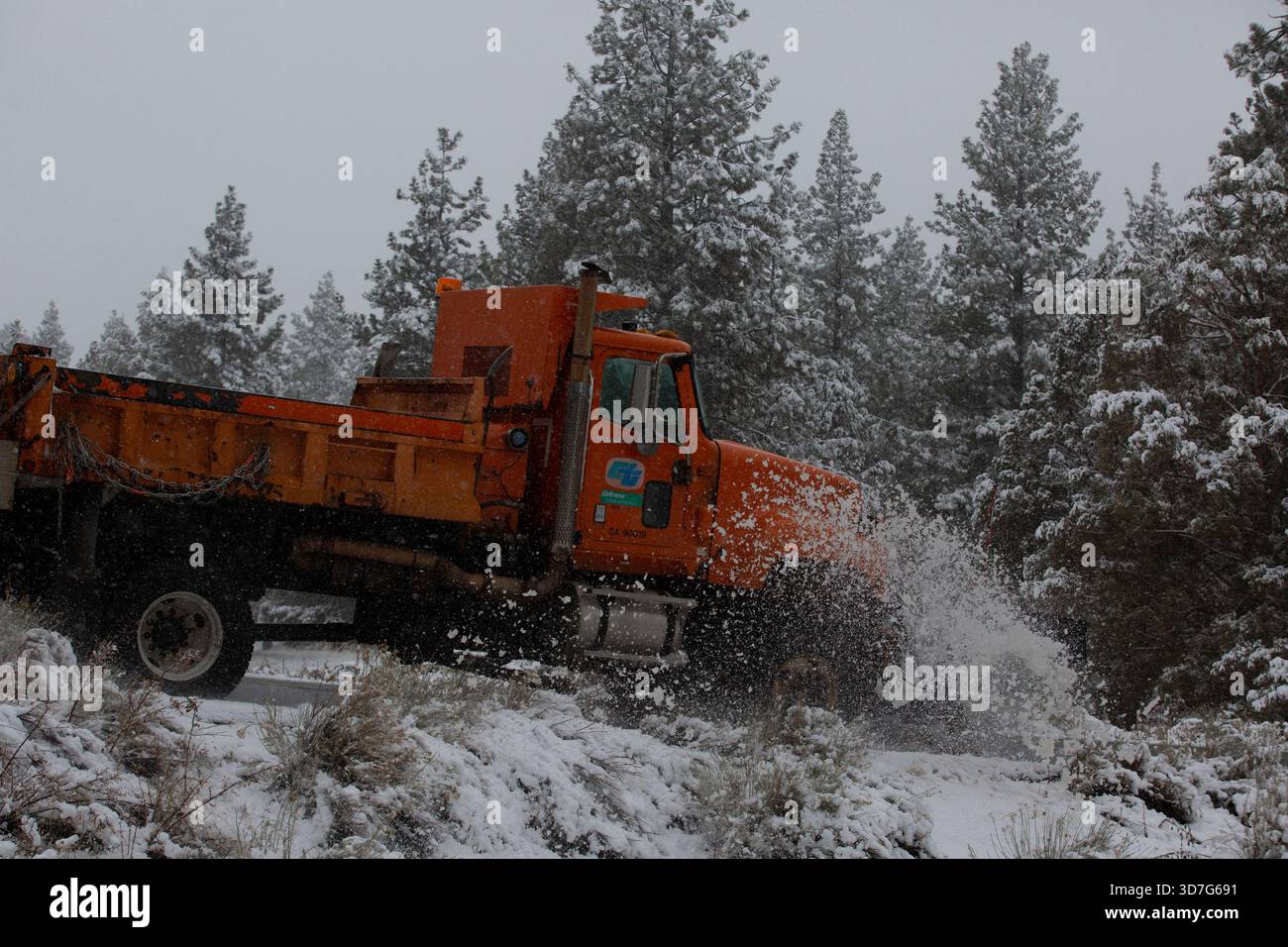 Nov 22, 2025 - Big Bear City, California, U.S. - Tress dusted with ...