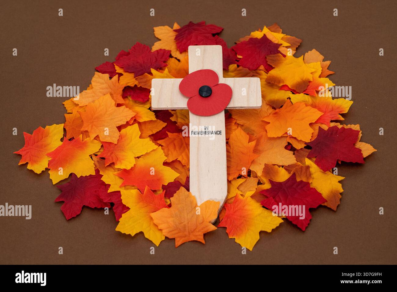 Uk remembrance culture hi-res stock photography and images - Alamy