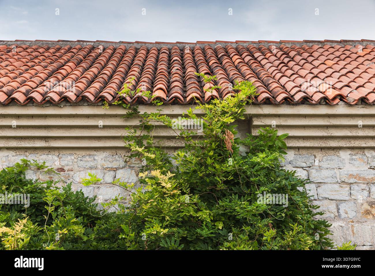 A rustic wall background featuring a stone base, cream cornice with ...