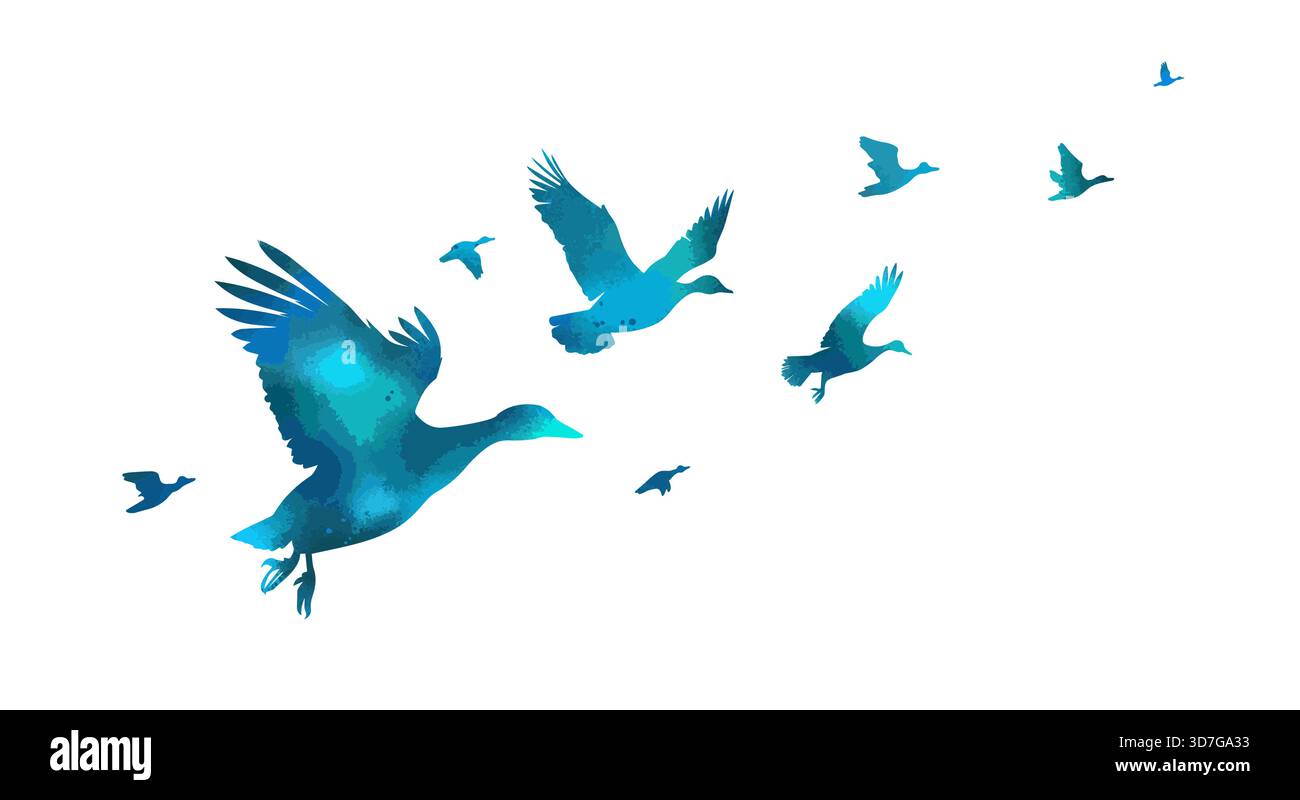 Bird blue watercolor flock Stock Vector Images - Alamy