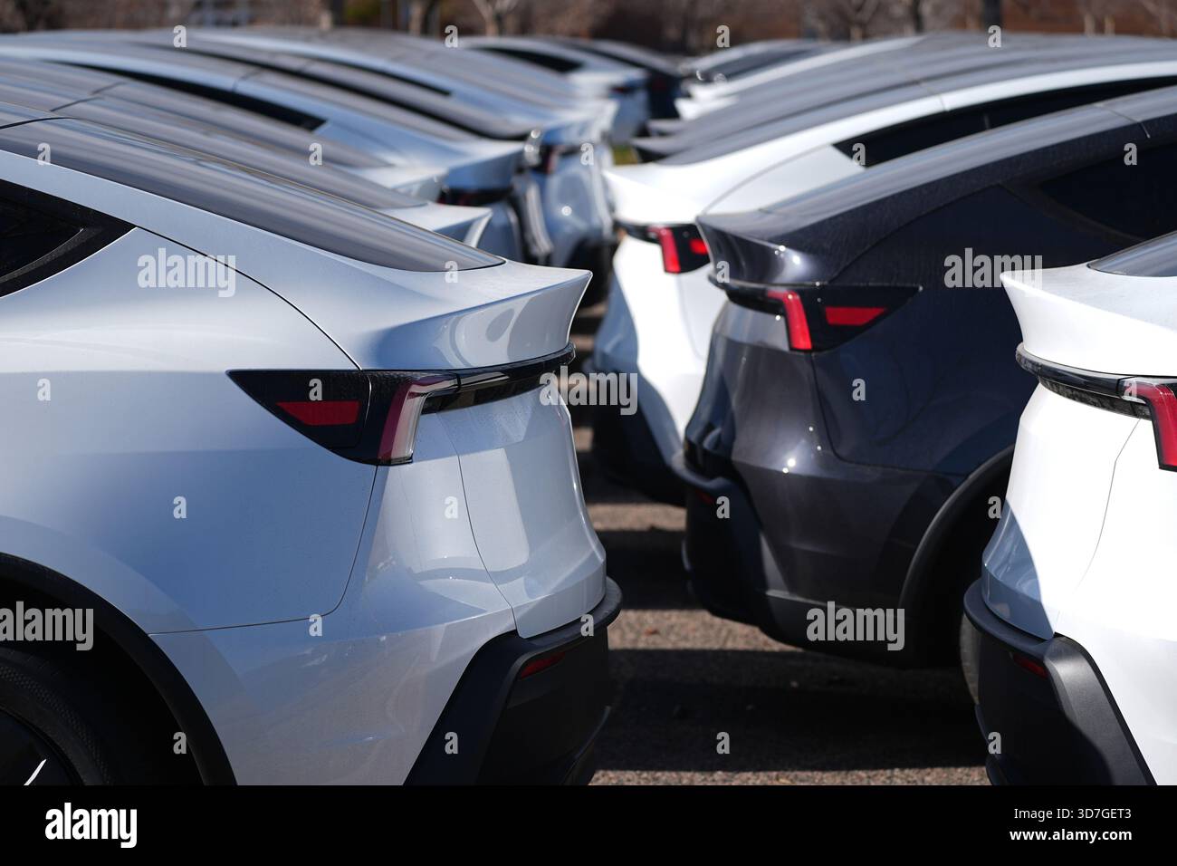 Unsold 2026 Tesla Model Y utility vehicles sit in a holding lot Tuesday ...