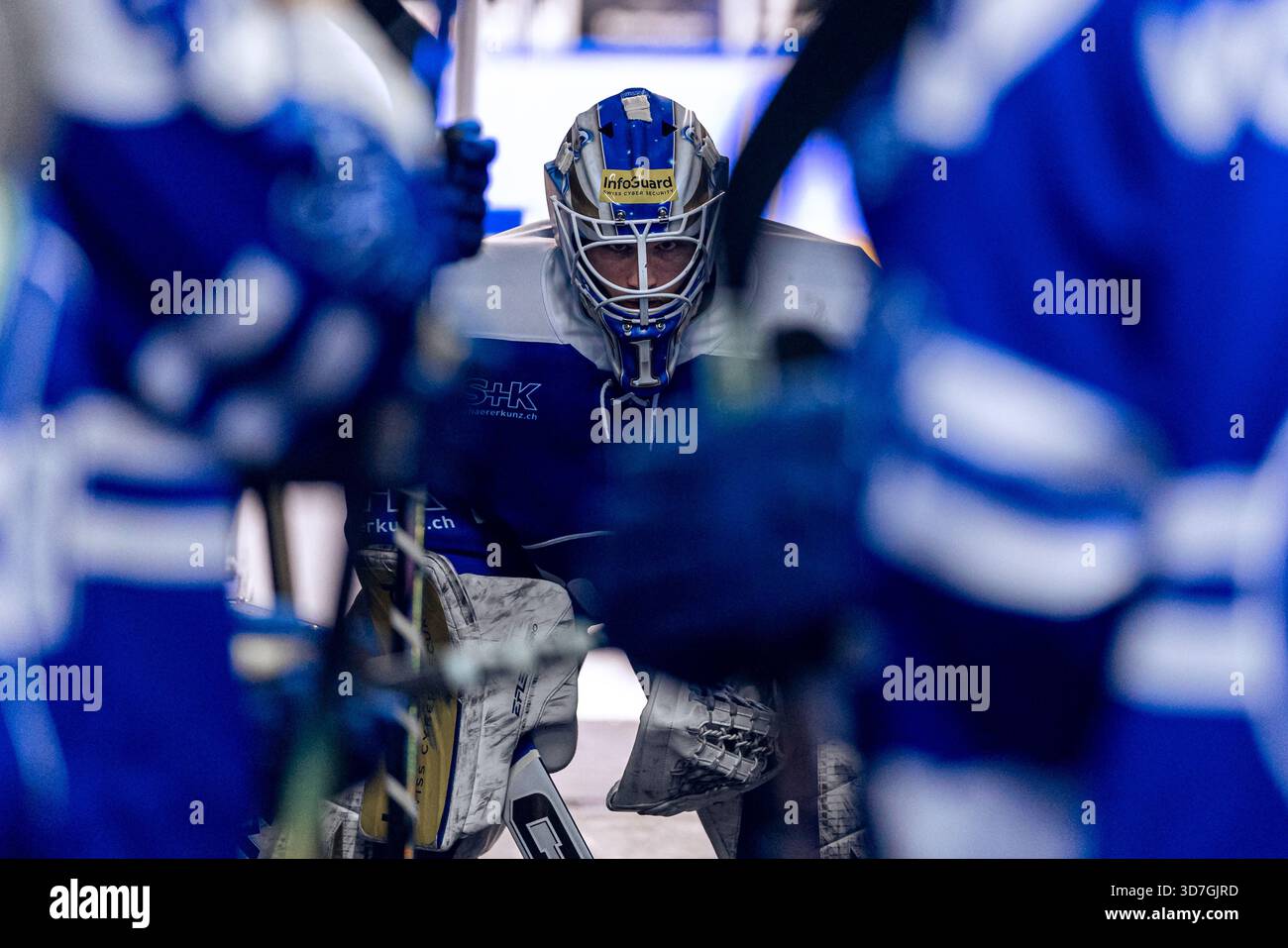 Goalkeeper Tim Wolf #1 (EV Zug) - November 25, 2025 - National League ...