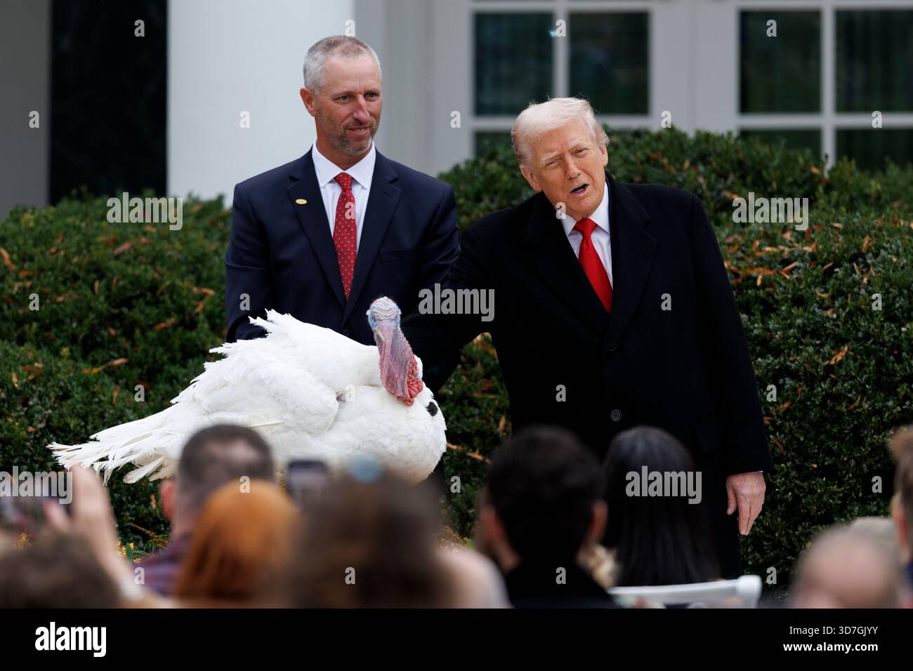 United States President Donald J Trump pardons a turkey named Gobble ...