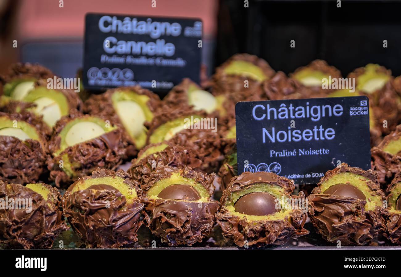 Unique artisanal chocolate pralines shaped like chestnuts with hazelnut ...