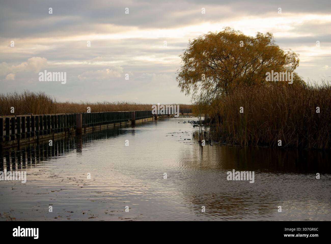 Wetlands at Point Pelee Ontario Stock Photo - Alamy